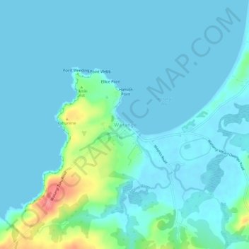 Waitangi topographic map, elevation, terrain