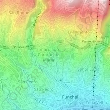 Funchal(Madeira) topographic map, elevation, terrain