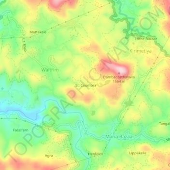 St. Coombs topographic map, elevation, terrain