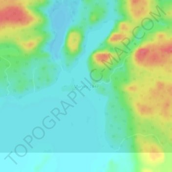 Murray Lake topographic map, elevation, terrain