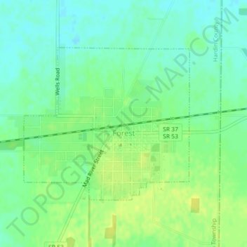 Forest topographic map, elevation, terrain